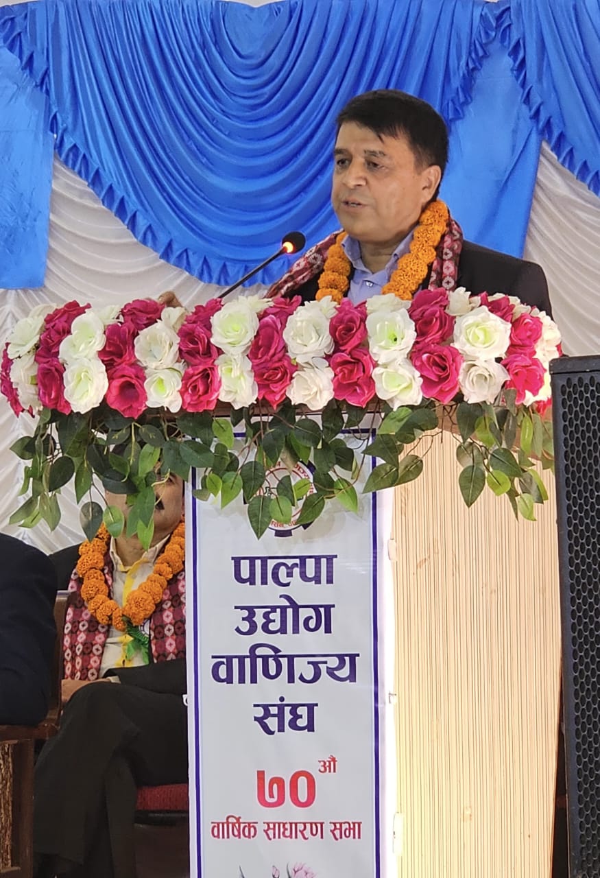 पाल्पाली ढाकाको ब्रान्डिङ गर्ने चन्द्रको चाहना - Greeconomy